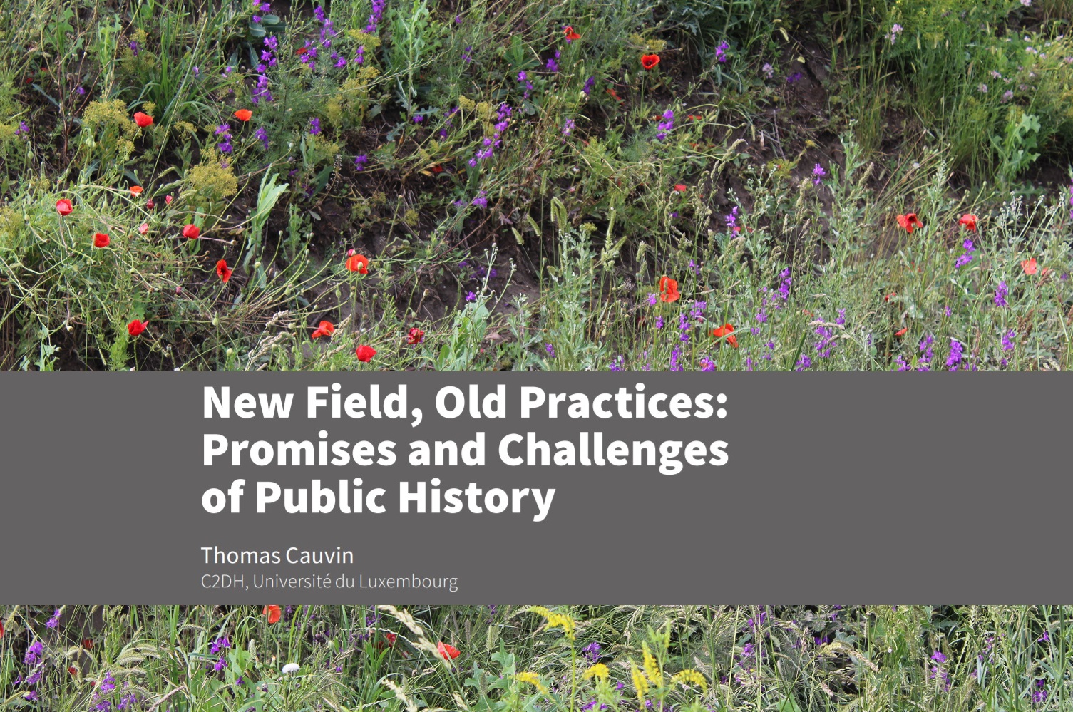 New Field, Old Practices: Promises and Challenges of Public History ...